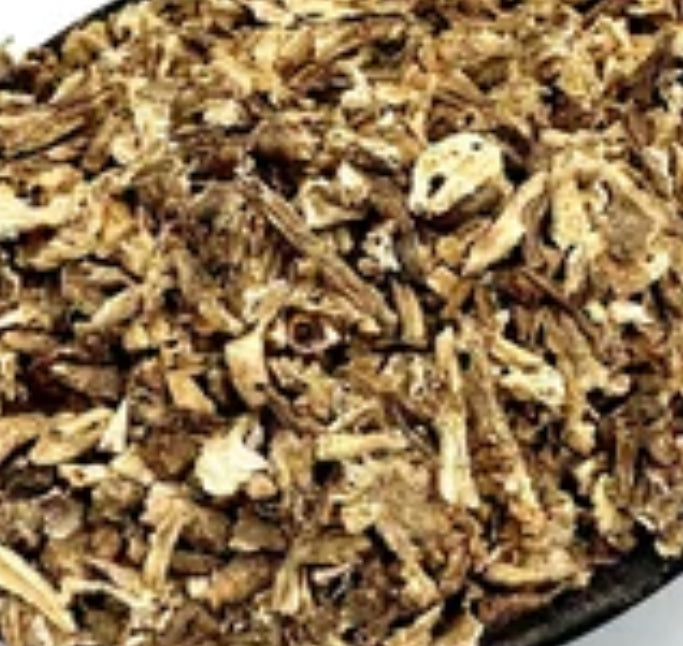 Bo’ Hog Root (Lovage) – King Lou's Hoodoo Shop